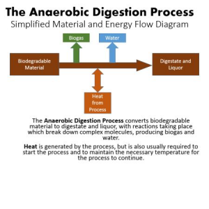 How Anaerobic Digestion Processes Treat Municipal Solid Waste