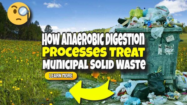 How Anaerobic Digestion Processes Treat Municipal Solid Waste