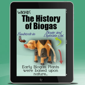 What are Biogas Plants? - Digesters Explained with Examples