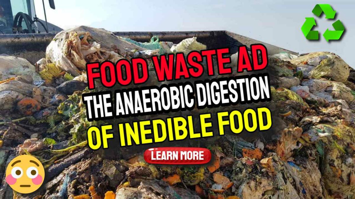 Food Waste AD - The Anaerobic Digestion of Inedible Food