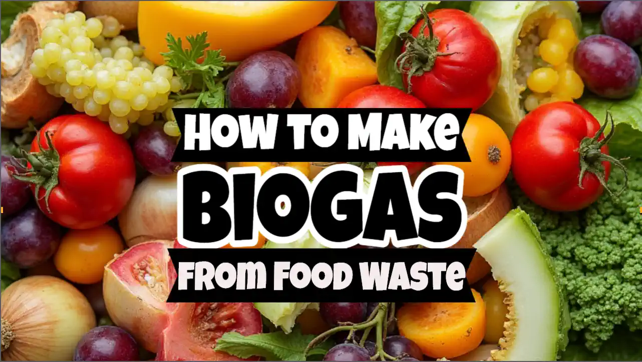 How to Make Biogas from Food Waste