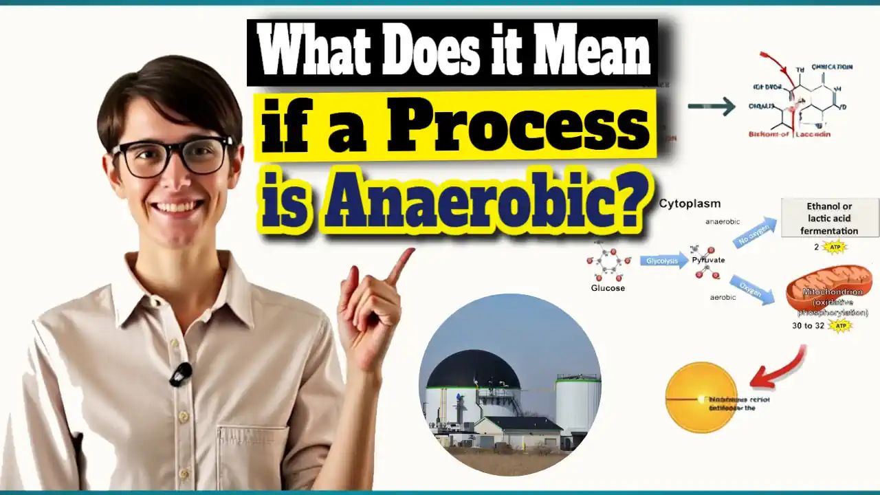 What Does it Mean if a Process is Anaerobic?